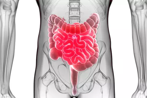 Bauchschmerzen | DHU